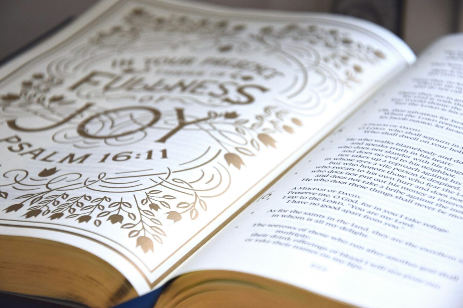 What is the Bible? Understanding the Sacred Text of Christianity ...